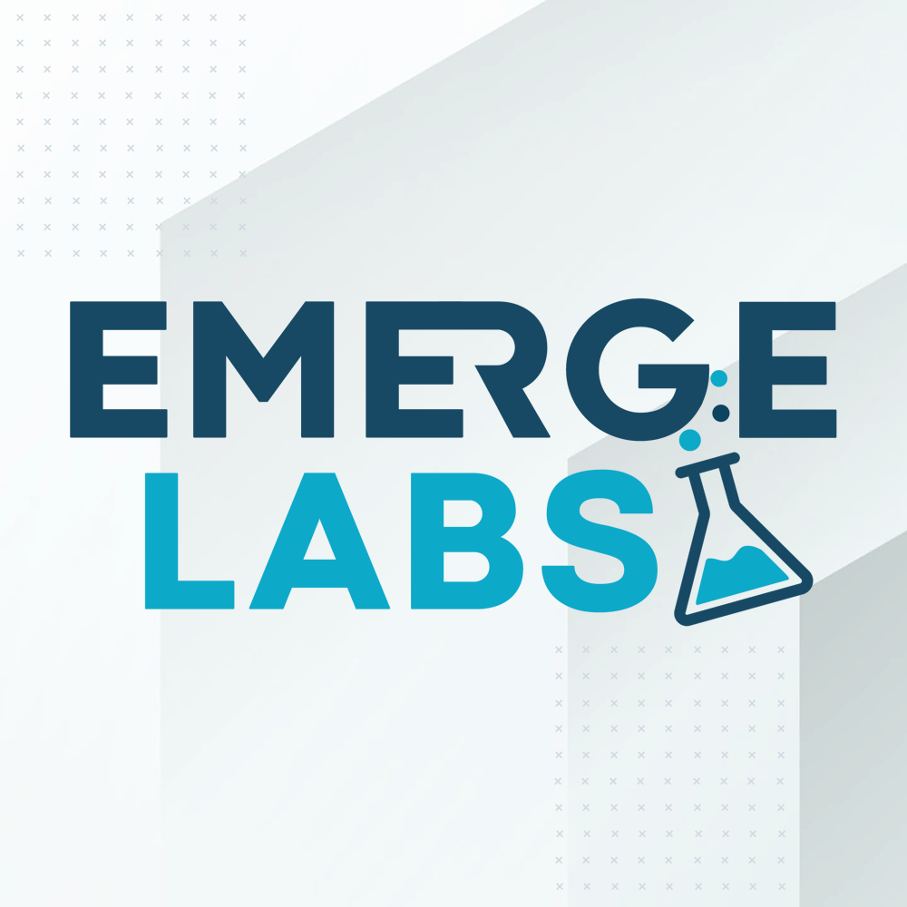 Custom Software Development | Business Consulting | Guaranteed ROI | Emerge Labs